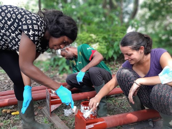 Homepage | Limbe Wildlife Centre